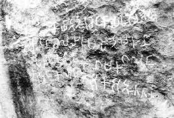 halmidi - JungleKey.in Image